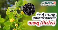 Chaksu Benefits In Hindi | चाकसू के फायदे ,गुण ,उपयोग और नुकसान – MyBapuji